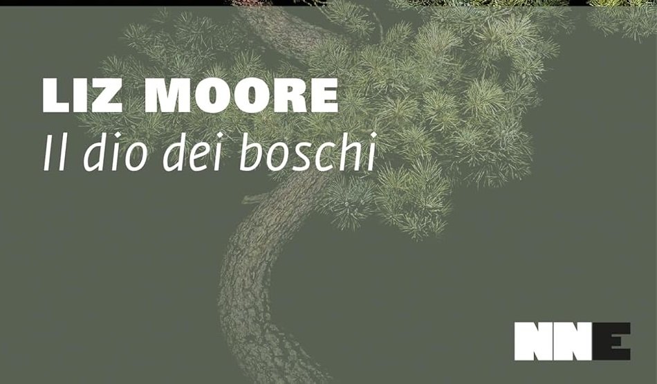 Il dio dei boschi - Liz Moore - MilanoNera